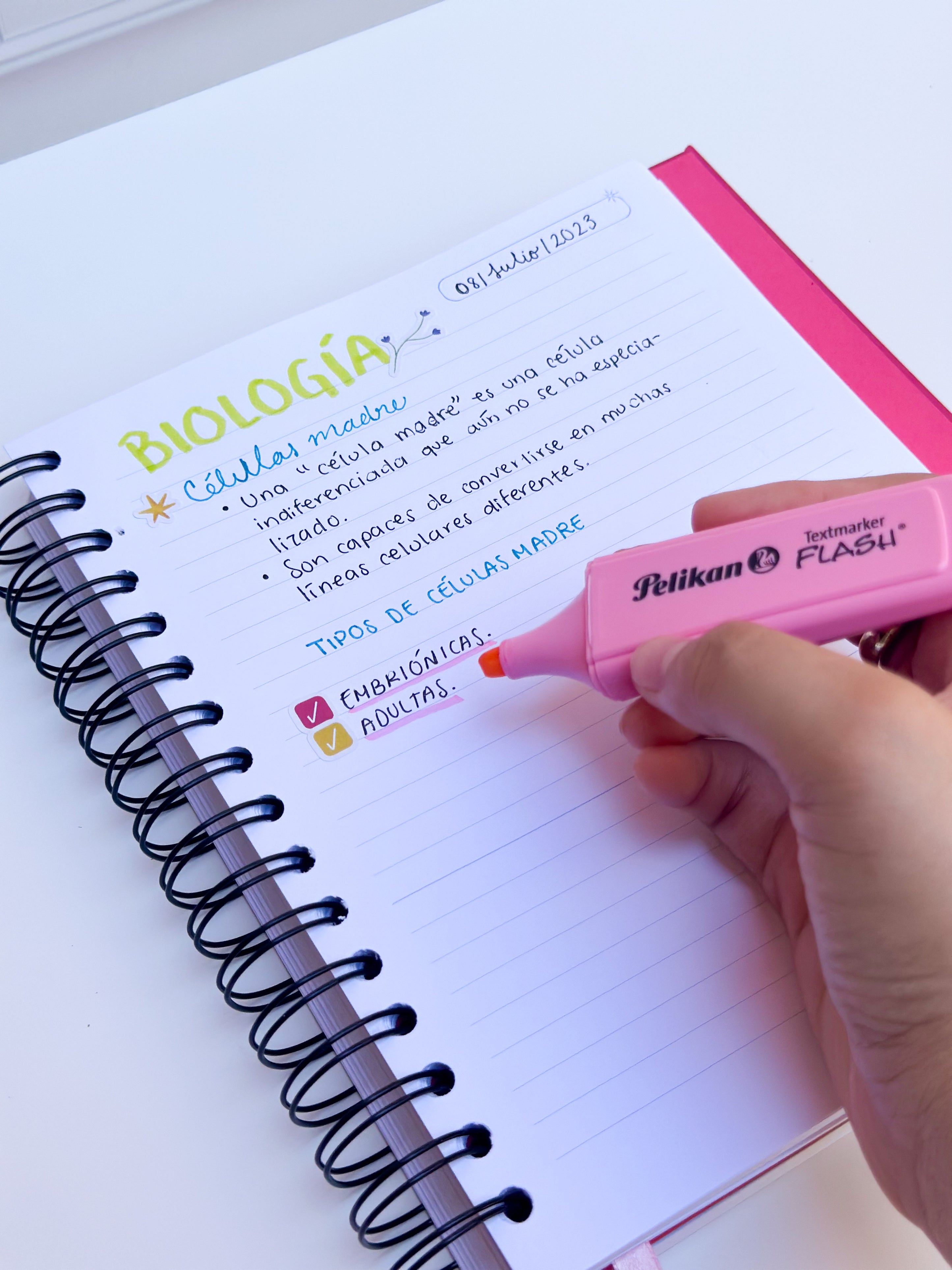 Libreta de notas Yeyé – JanaMx